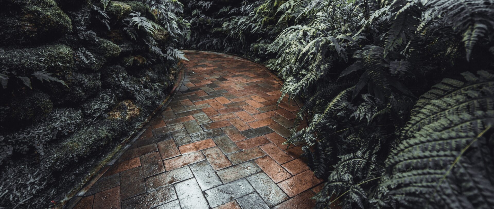 Freedom Cannabis Production Facility in Edmonton, Alberta | Arpi’s North